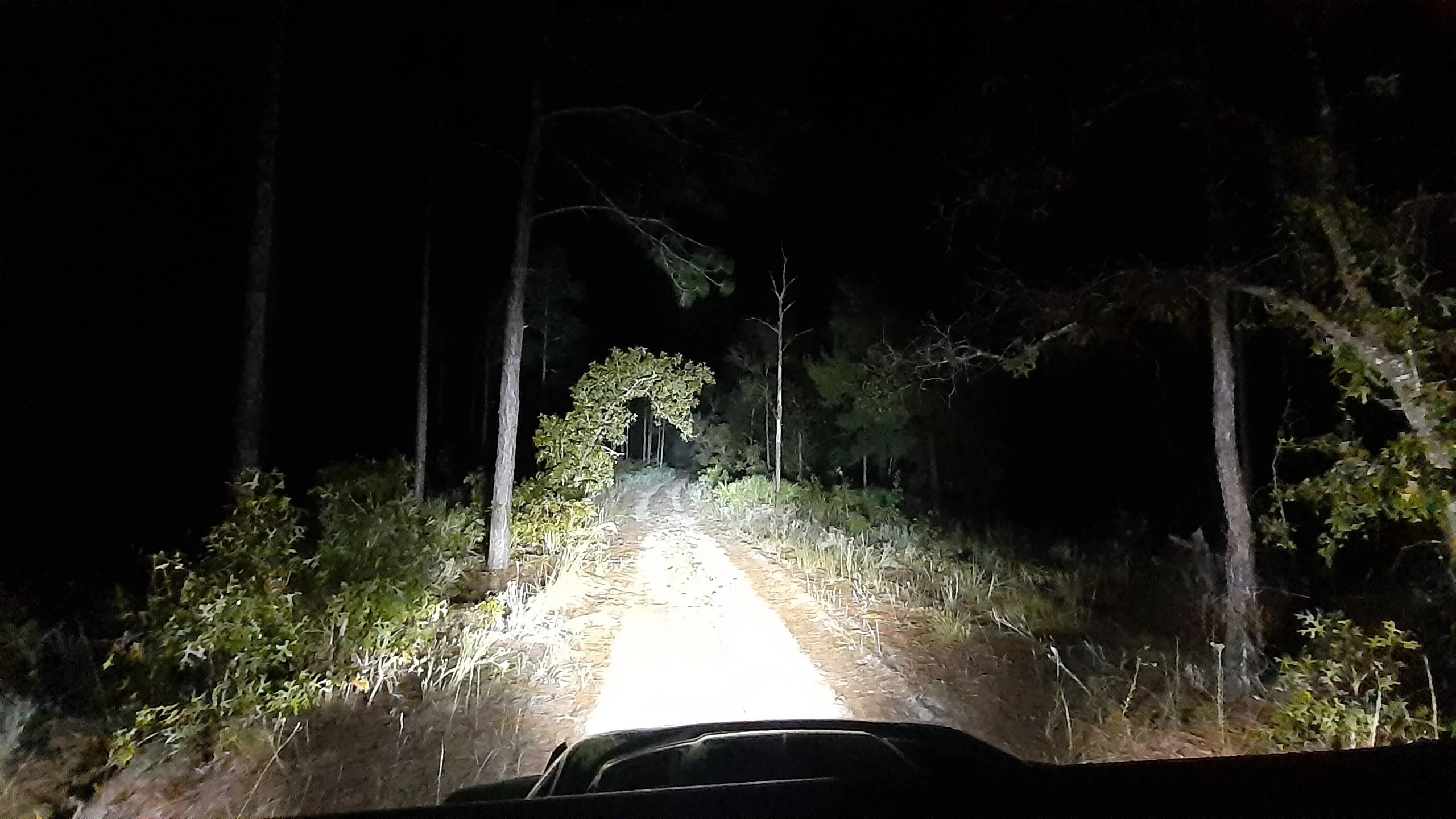 Harbor Freight Roadshock LED Lights - Impressed | Jeep Gladiator (JT ...