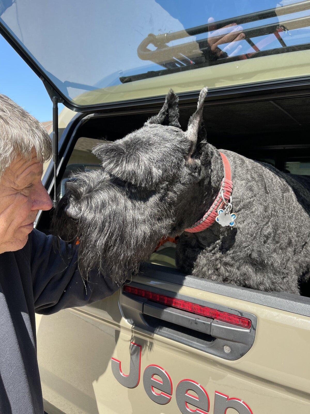 Dog co-pilot help. | Page 2 | Jeep Gladiator Forum - JeepGladiatorForum.com