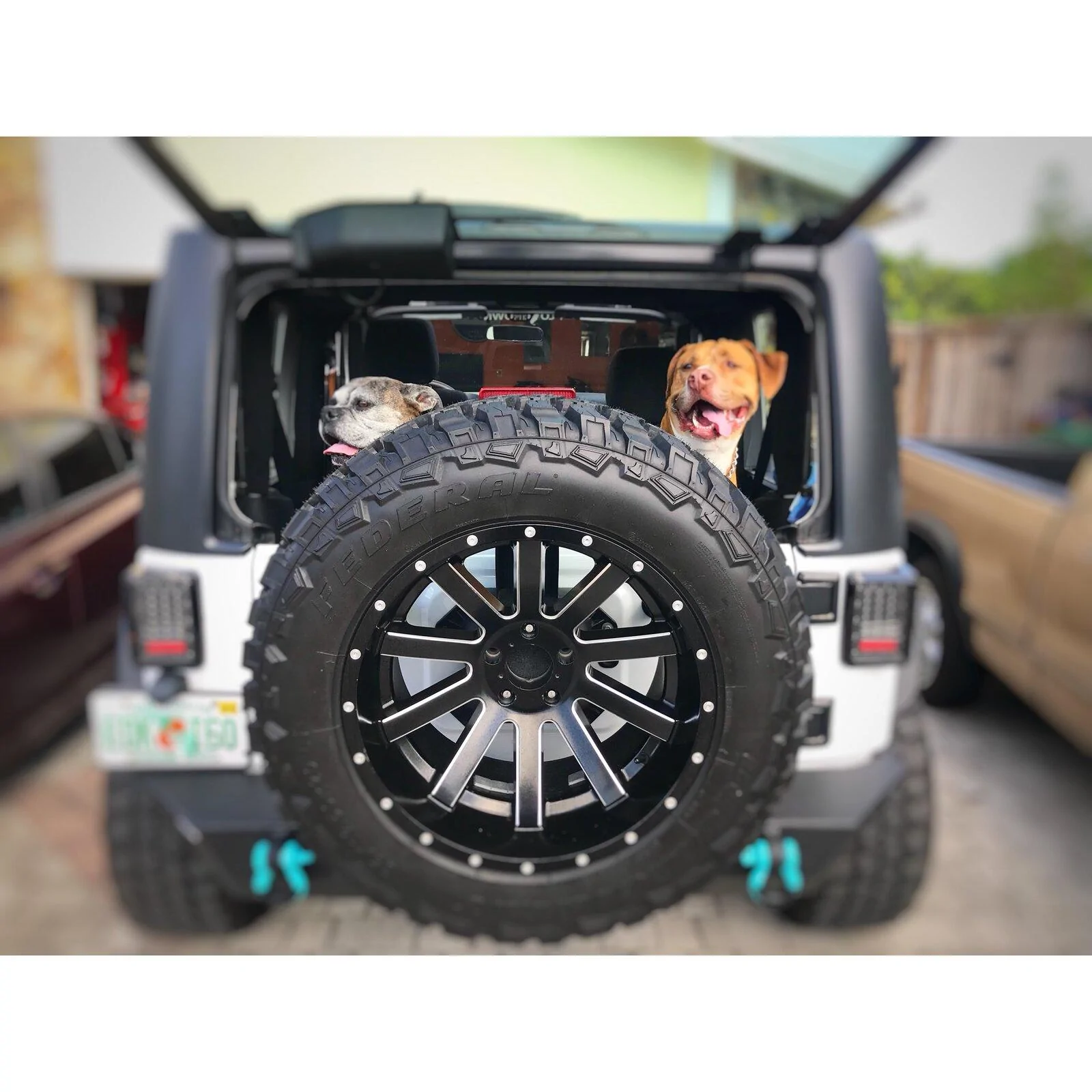 Let’s see your pets cause they are the best companion you can have ...