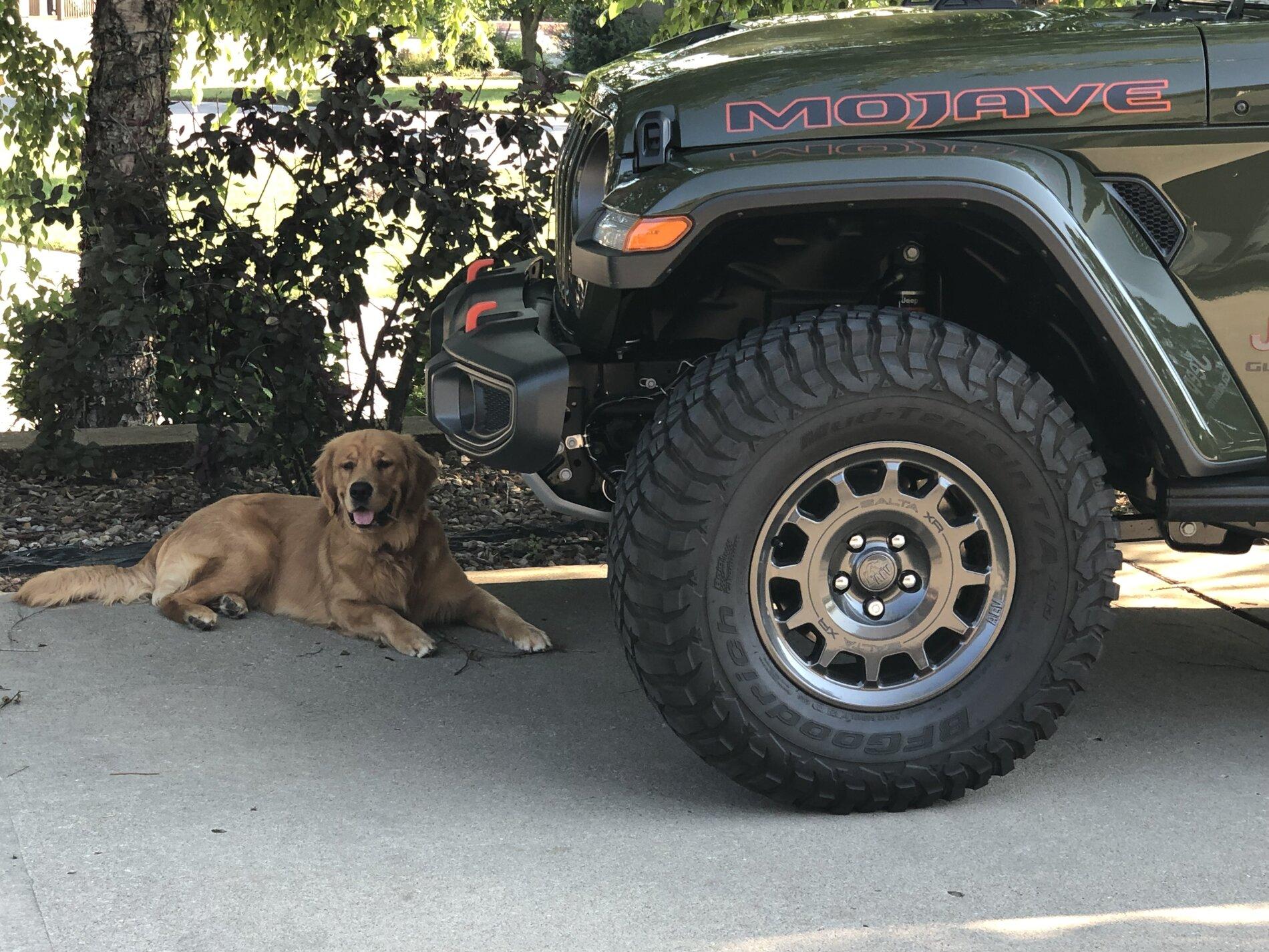 AEV Salta Xr Pic Request | Page 2 | Jeep Gladiator Forum ...