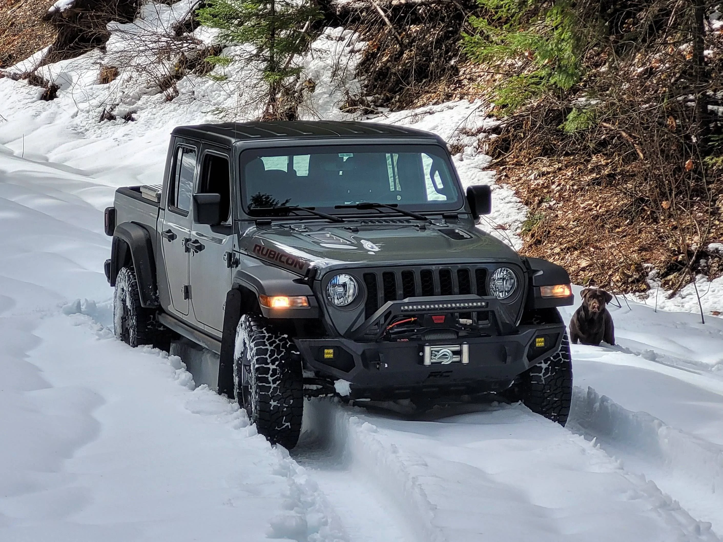 Dunes Safety Flag/Whip mount points? | Page 4 | Jeep Gladiator (JT ...
