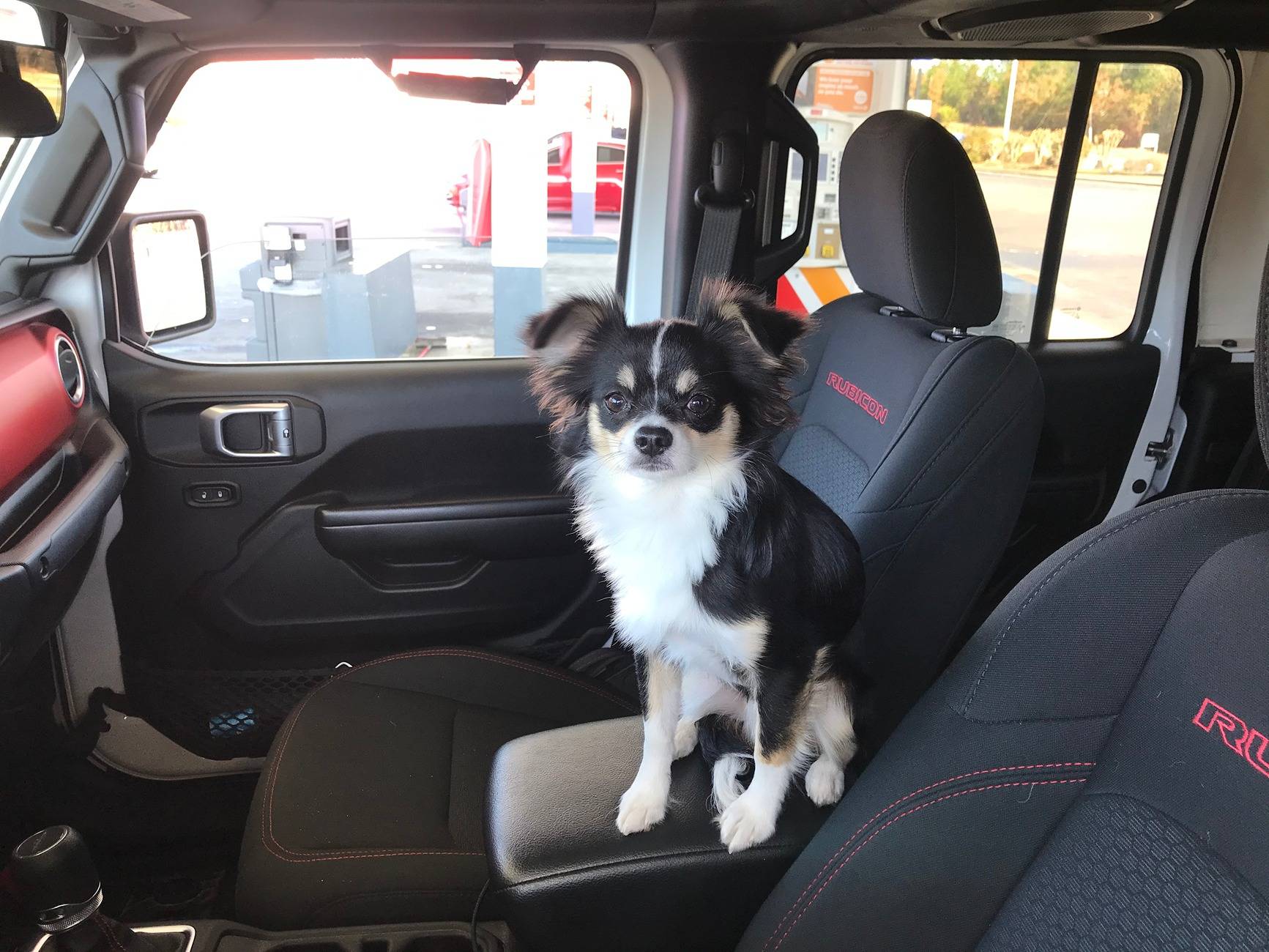 Capturing Moments with Pets | Jeep Gladiator (JT) News, Forum ...