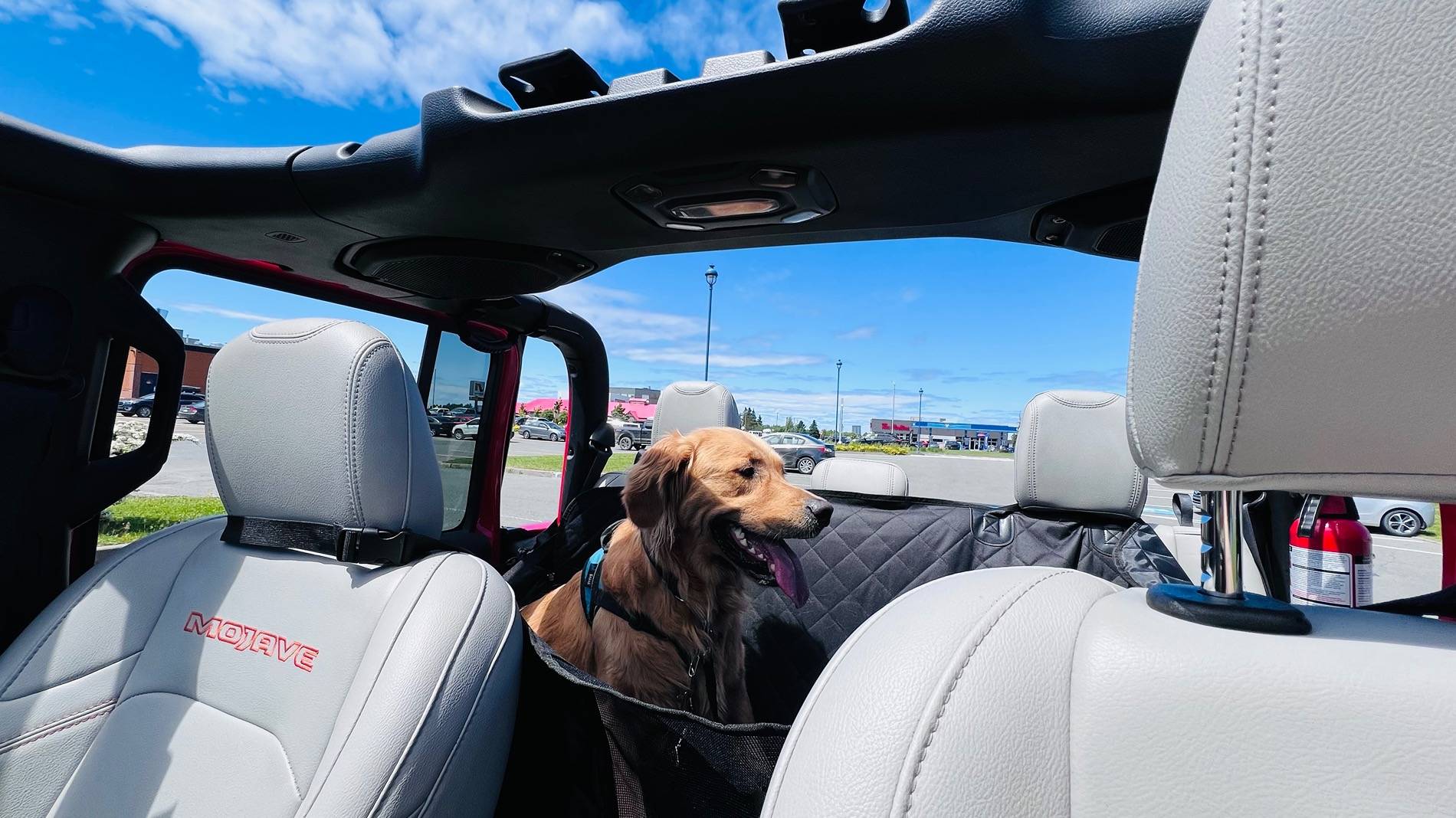 Capturing Moments with Pets | Jeep Gladiator (JT) News, Forum ...