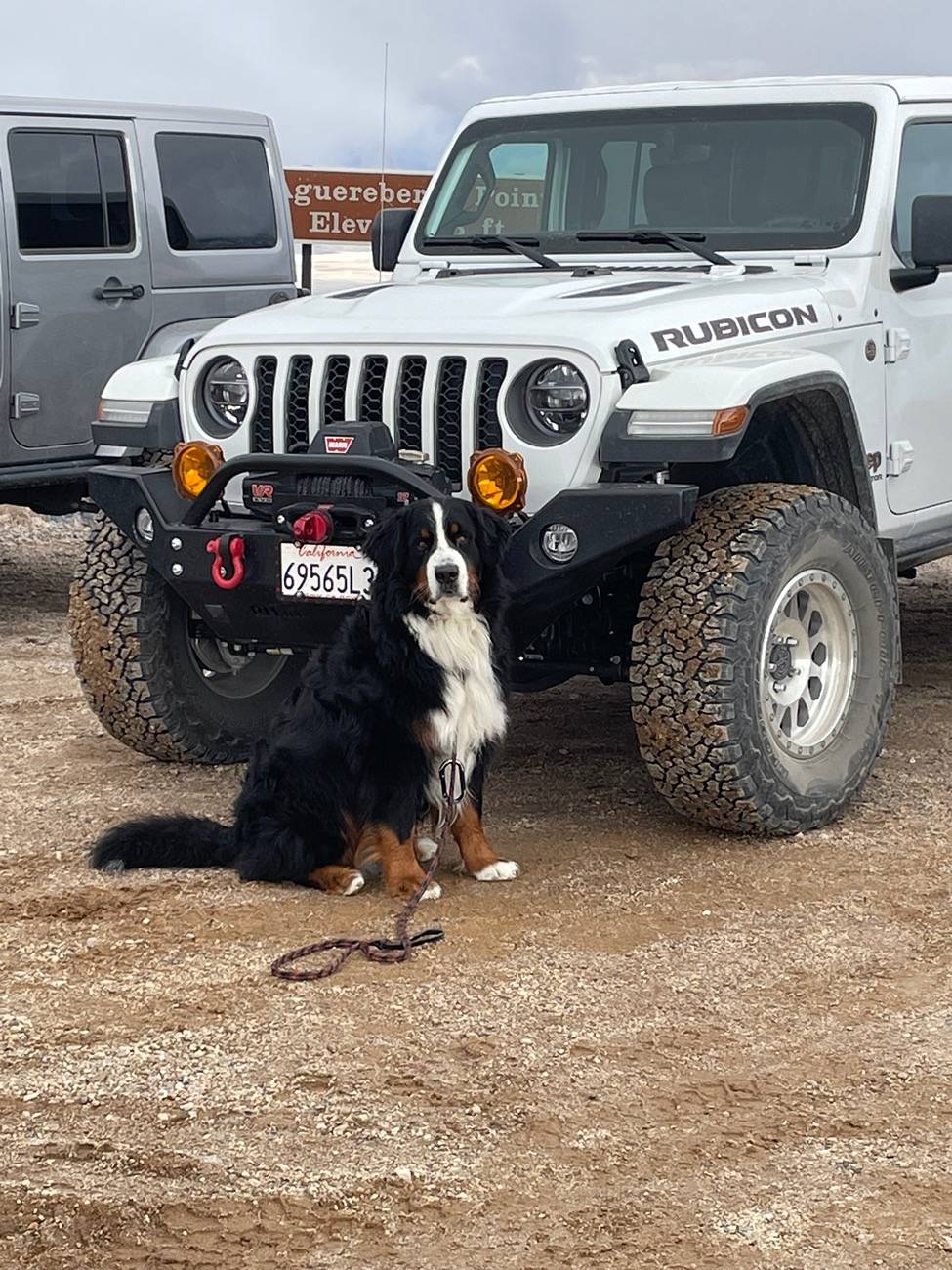 Capturing Moments with Pets | Jeep Gladiator (JT) News, Forum ...