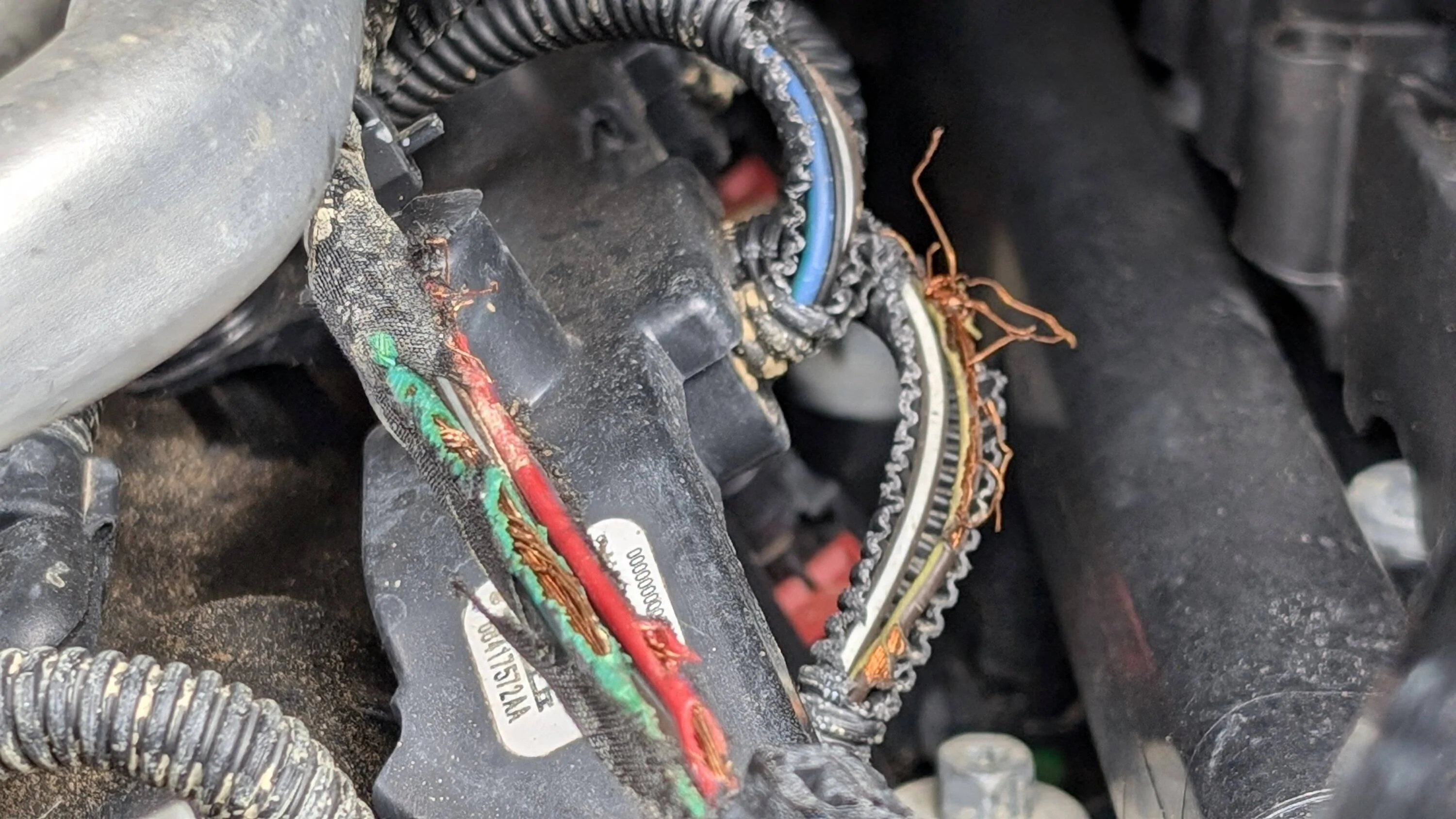Rodent Damage Fuel Injector wiring harness | Jeep Gladiator (JT) News ...