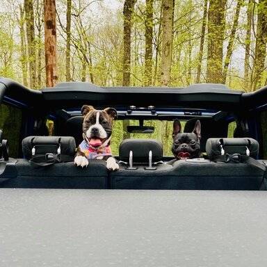 Premium subwoofer upgrade. | Jeep Gladiator (JT) News, Forum, Community ...