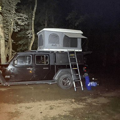 Delaware - Stabilus Ez-Switch gas strut activated switches | Jeep ...