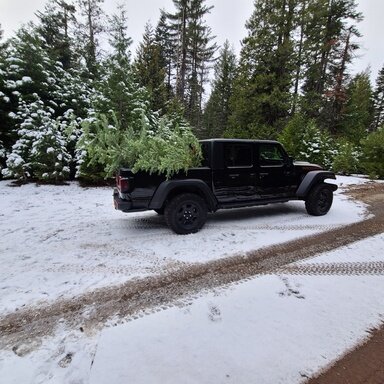 Maxxis Razr a/t 35x11.50r17 tires | Jeep Gladiator (JT) News, Forum ...