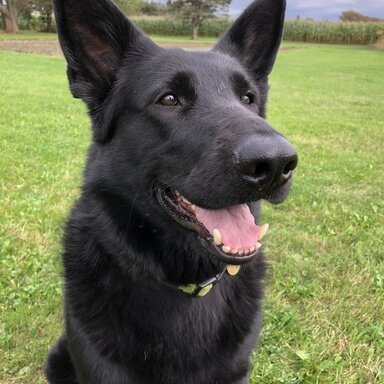 Rhode Island - Climate Control group | Jeep Gladiator (JT) News, Forum ...