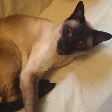 Mopar side steps - different part numbers | Jeep Gladiator (JT) News ...