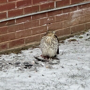 Pcv valve | Page 2 | Jeep Gladiator (JT) News, Forum, Community ...