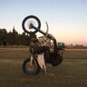 3.6L 6-Cyl Pentastar - Maintenance, Mods, Discussions | Jeep Gladiator (JT) News, Forum ...