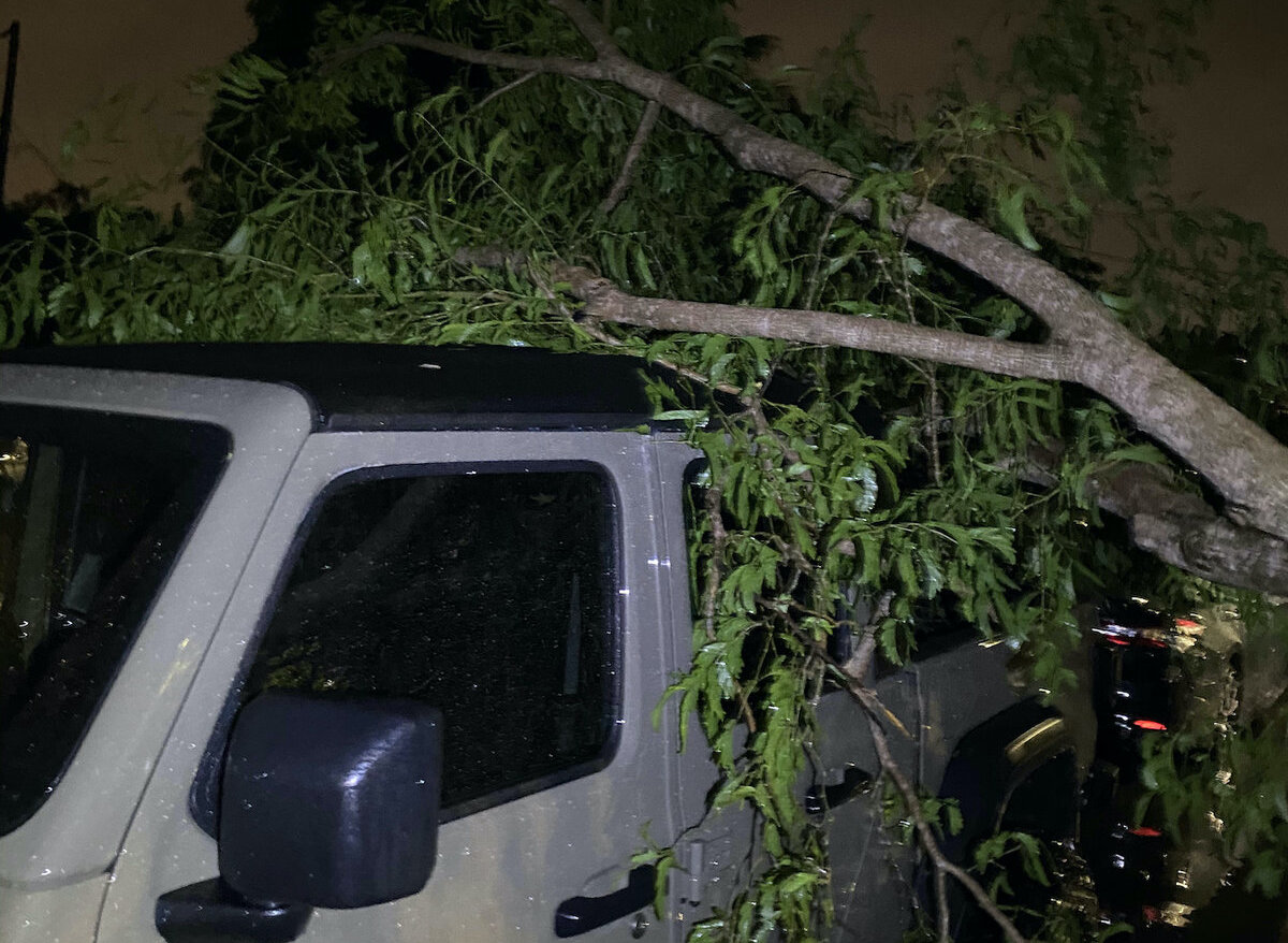 Soft top shows toughness from downed tree | Jeep Gladiator (JT) News ...