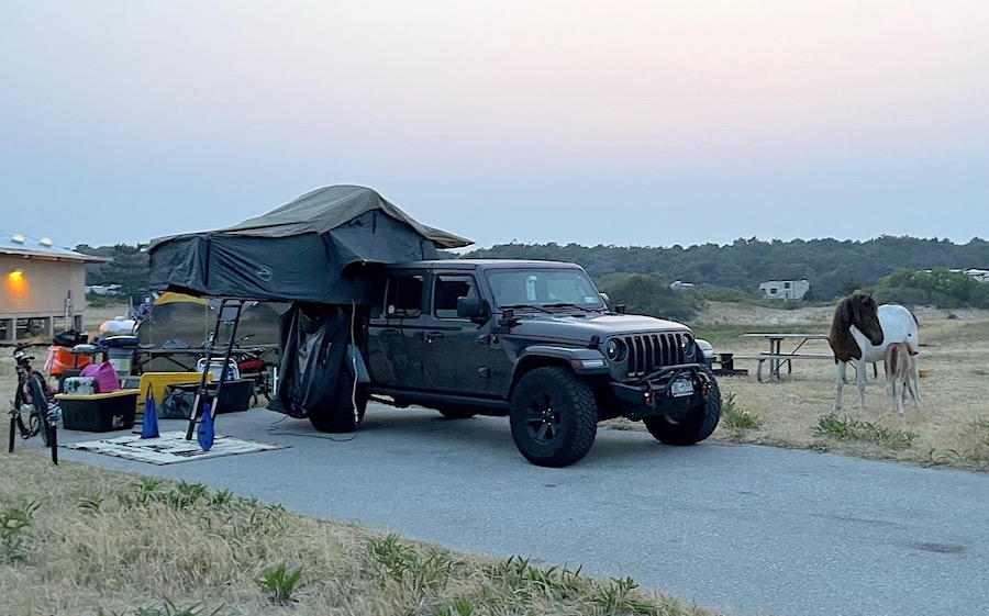 Gladiator Camping w/ Wild Horses of Assateague State Park | Jeep ...